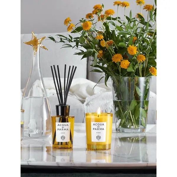 ACQUA DI PARMA Insieme Scented Candle 200g