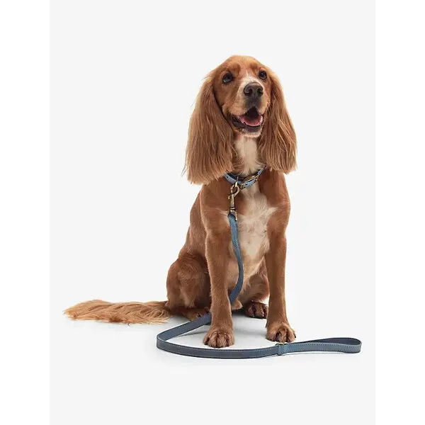 adjustable elevated dog bowl Adjustable**Puppy-Adult Yeti Raised Dog Bowl Stand || 7 Different Heig –  Woodland Steelworks main image 1