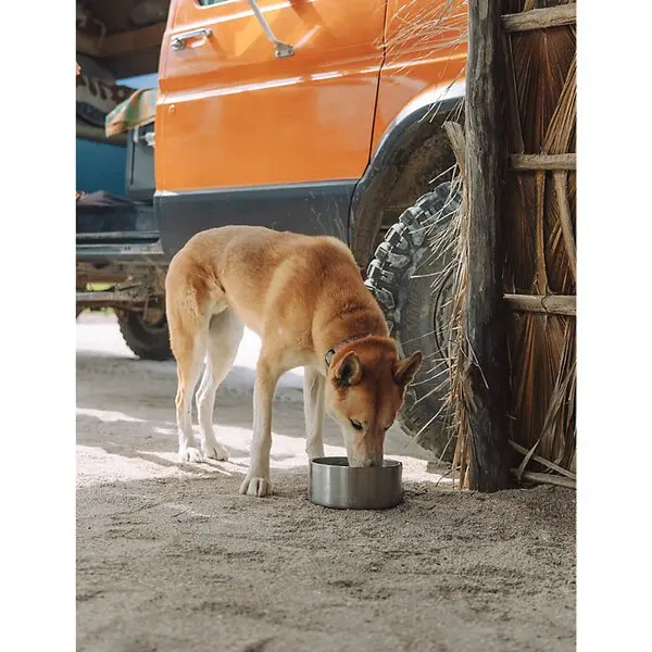 YETI Boomer 8 Dog Bowl 20cm