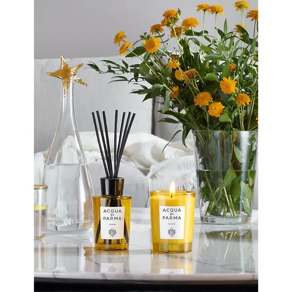 ACQUA DI PARMA Insieme Diffuser 180ml