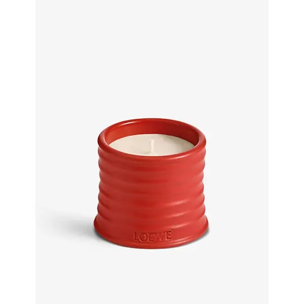 Loewe Tomato Leaves Small Scented Candle 170g - One-color
