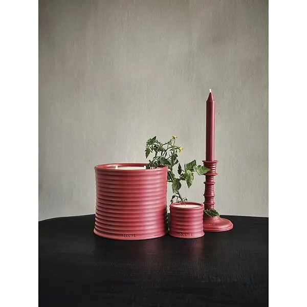 Loewe Tomato Leaves Small Scented Candle 170g - One-color