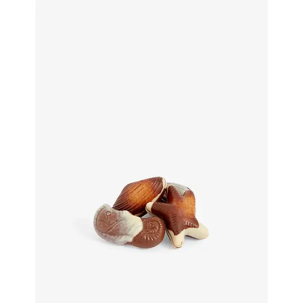 THE CHOCOLATE GIFT COMPANY Seashell-shaped Chocolates 60g