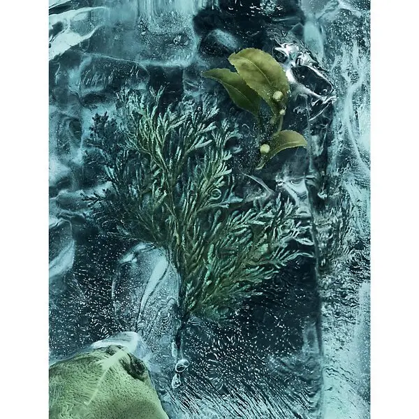 Moncler Les Sommets La Cordée Eau De Parfum - One-color
