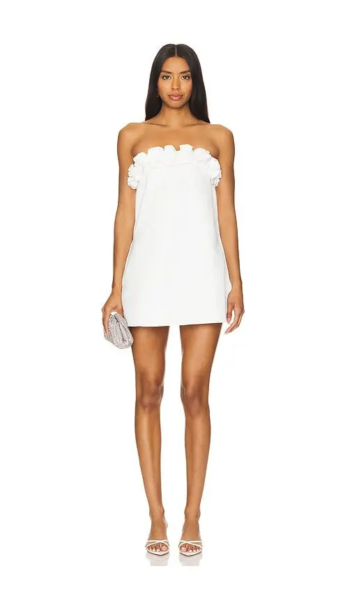 WeWoreWhat Rose Mini Dress