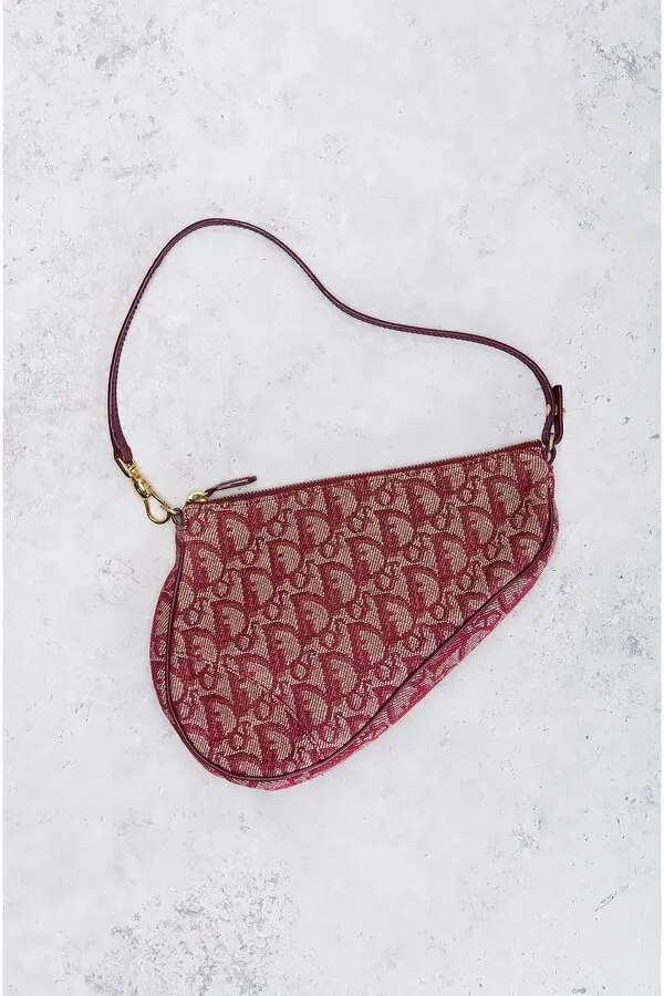 Dior Trotter Saddle Bag