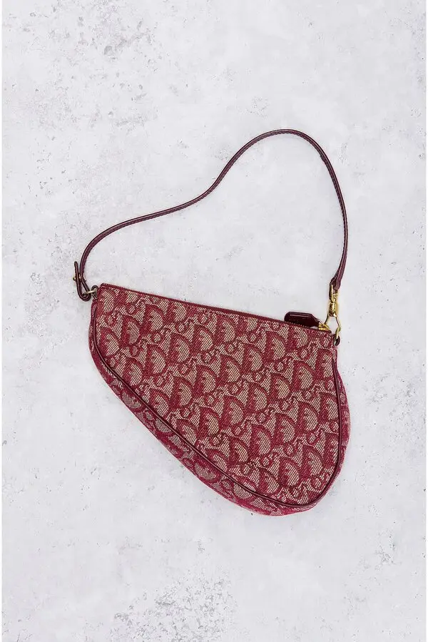 Dior Trotter Saddle Bag