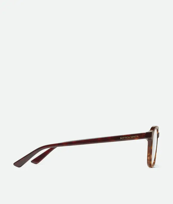 Bottega Veneta Classic Panthos Eyeglasses - Havana/transparent
