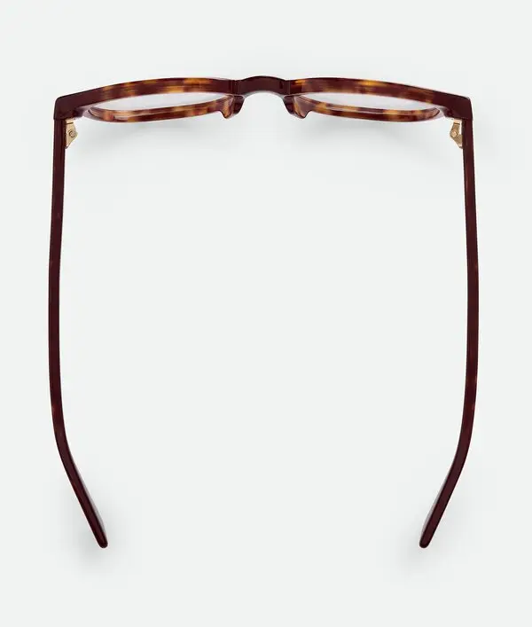 Bottega Veneta Classic Panthos Eyeglasses - Havana/transparent