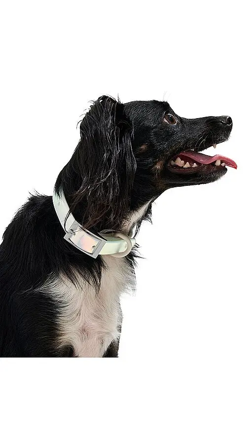 WILD ONE Lunar Collar