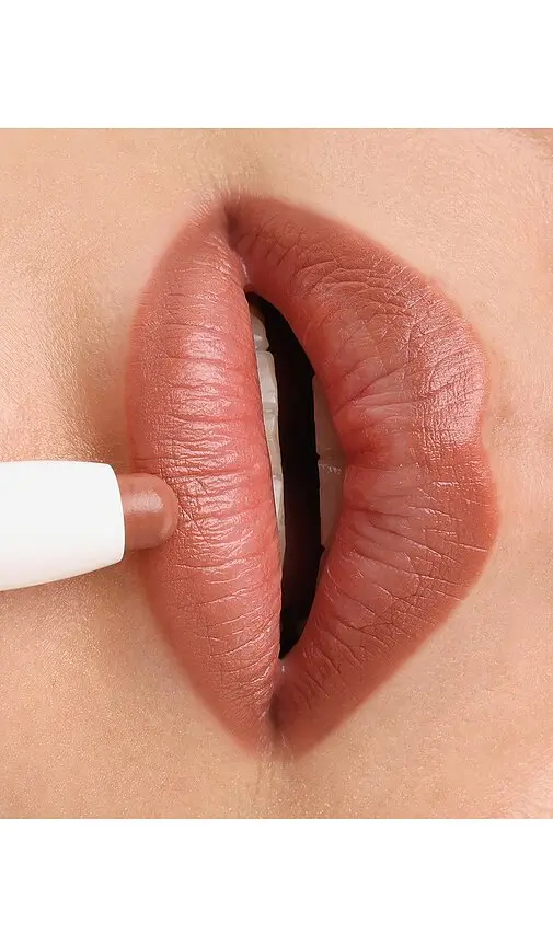 PROJECT LIP Lip Plump And Fill Up Liner