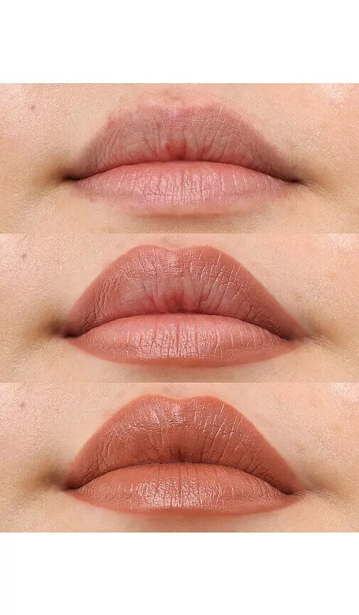 PROJECT LIP Lip Plump And Fill Up Liner