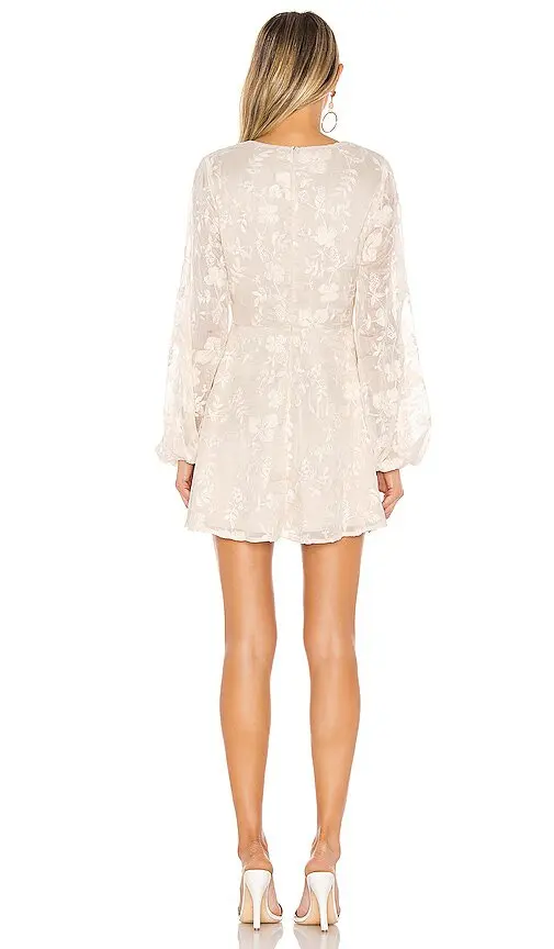 Tularosa Ryland Embroidered Mini Dress