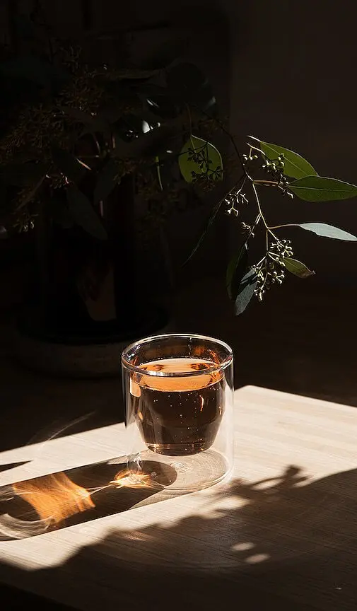 YIELD Double-wall Glass 6oz Set In Clear