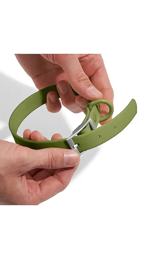 WILD ONE Collar