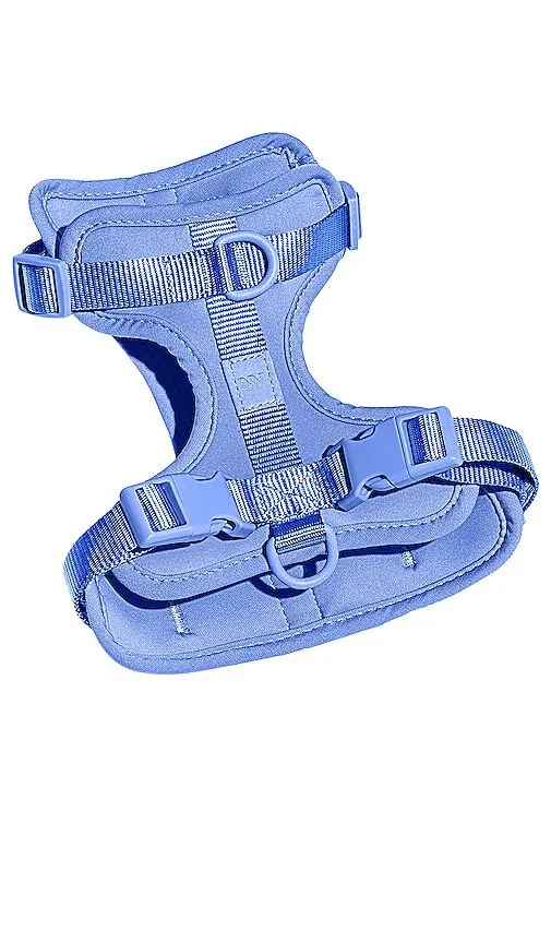 WILD ONE Harness With Adjustable Neck And Chest - Blue