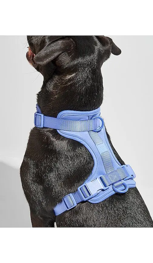 WILD ONE Harness With Adjustable Neck And Chest