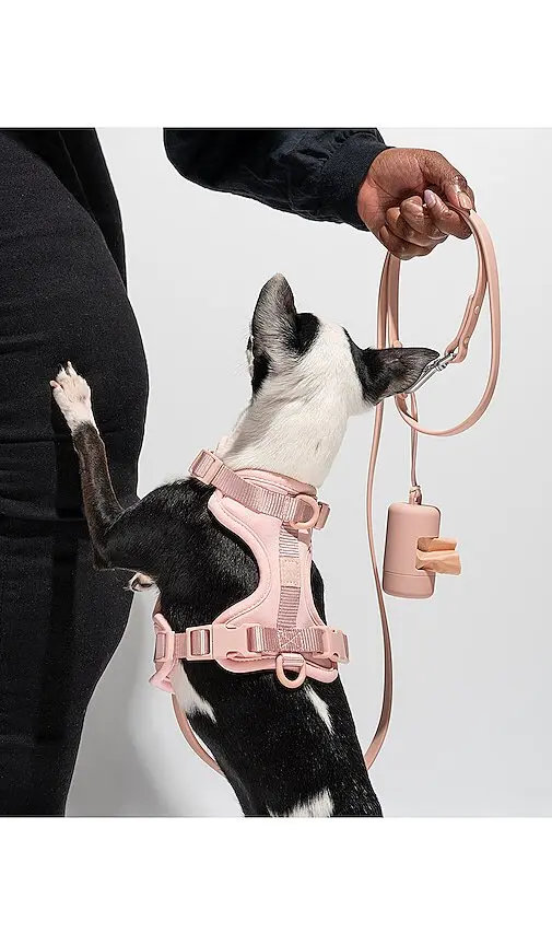 WILD ONE Poop Bag Carrier