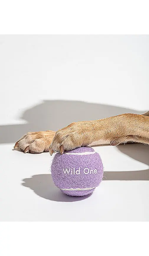 WILD ONE Tennis Balls Set Of 4