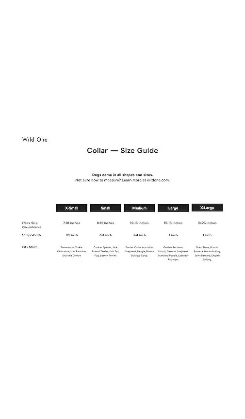 WILD ONE Collar