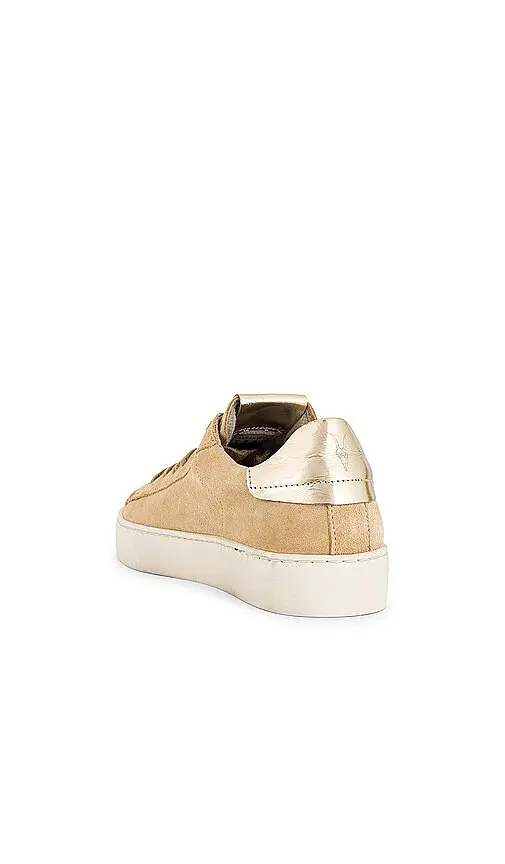 ALLSAINTS Shana Suede Sneaker
