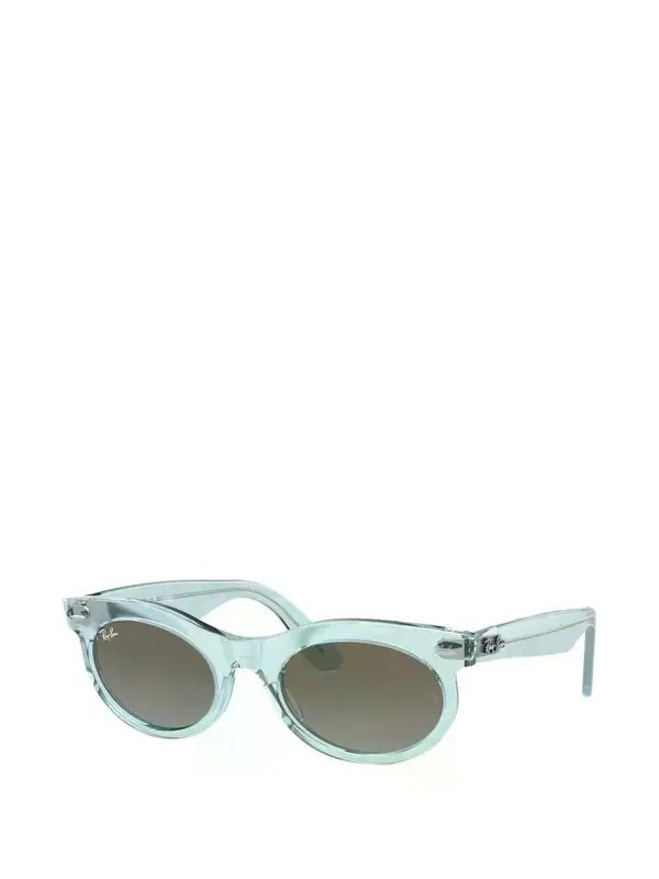 Ray-ban Wayfarer Oval Sunglasses