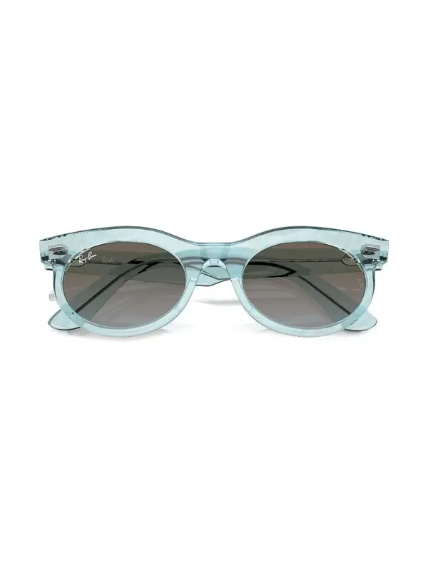 Ray-ban Wayfarer Oval Sunglasses