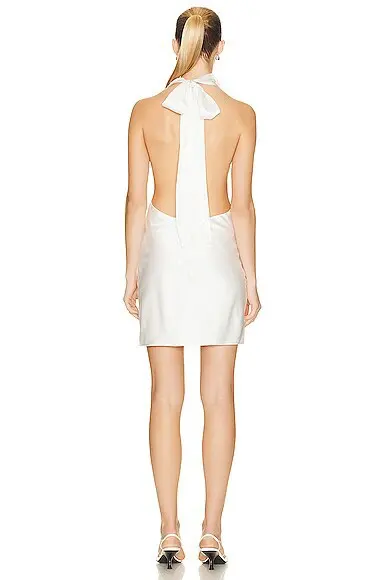 AEXAE Silk Mini Dress