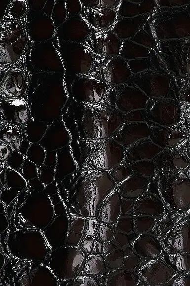 Bottega Veneta Croc Embossed Leather Coat