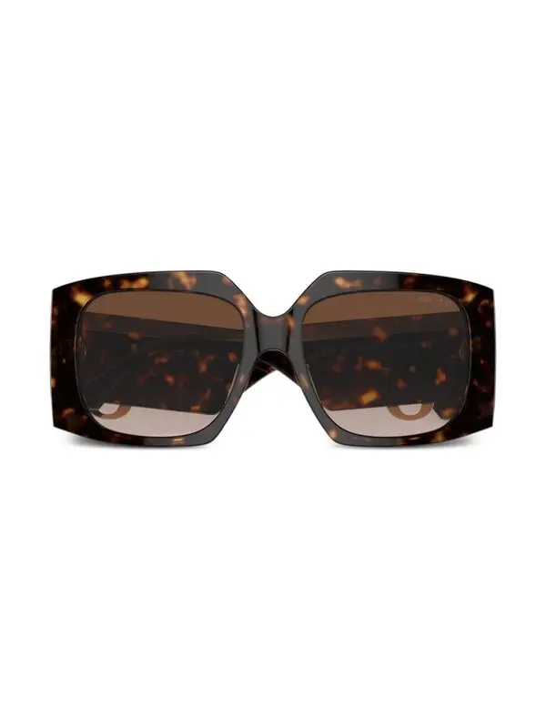JIMMY CHOO Ariana Sunglasses - Brown