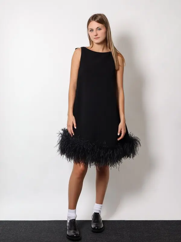 Valentino Garavani Feather Trimmed Mini Dress