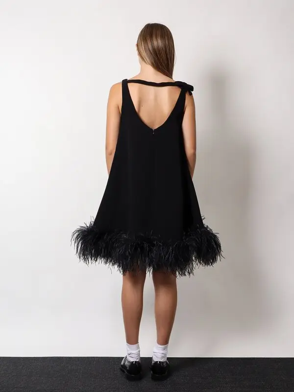 Valentino Garavani Feather Trimmed Mini Dress