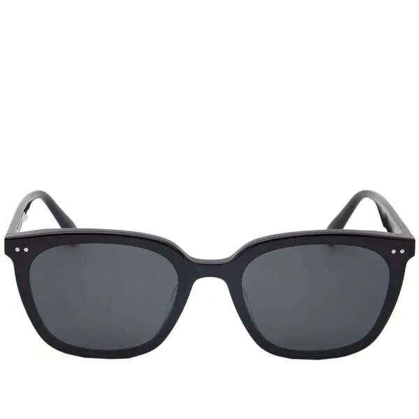 Gentle Monster Heizer Sunglasses - Black | Editorialist