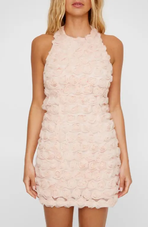 Nasty Gal 3d Floral Halter Mini Dress In Blush - 45% Off | Editorialist