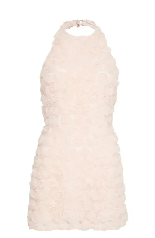 Nasty Gal 3d Floral Halter Mini Dress In Blush - 45% Off | Editorialist