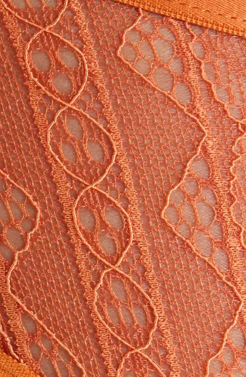 HAUTY Playing Koi Cutout Lace Thong