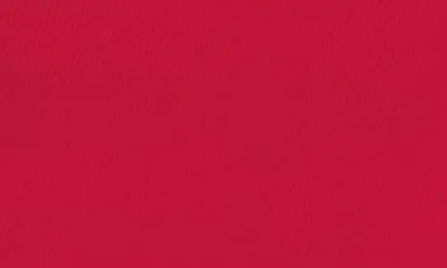 MARCELLA Anya Crop Camisole - Red
