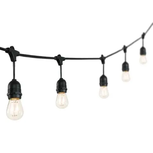 JONATHAN Y 15-light Indoor/outdoor Rustic Industrial Led S14 Edison Buld String Lights - Black