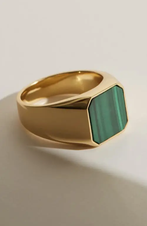 ANA LUISA Michelle Signet Ring