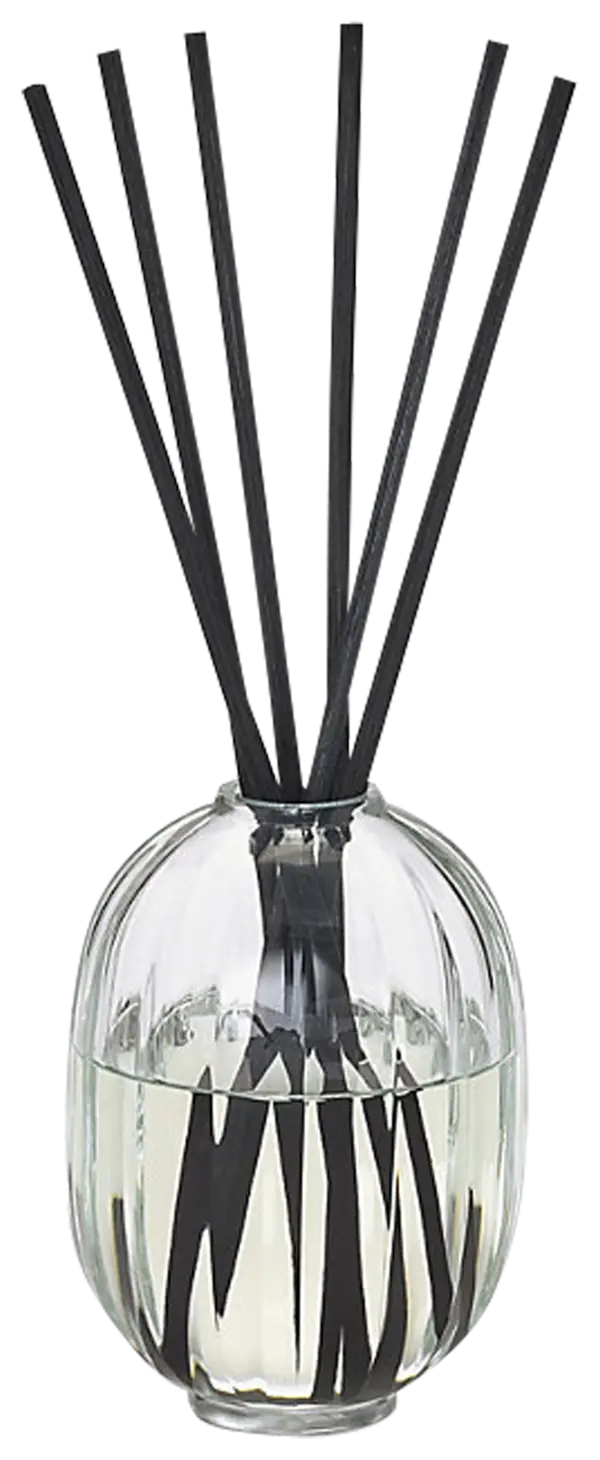 DIPTYQUE Roses Reed Diffuser And Refill Set