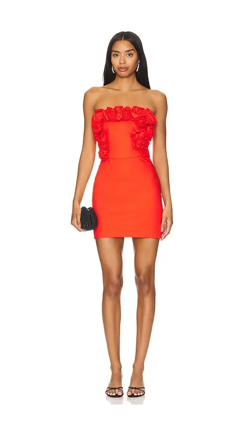 Nbd Riya Mini Dress