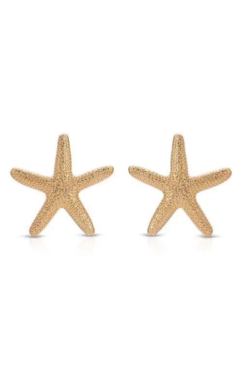 Ettika Large Starfish Stud Earrings - Gold