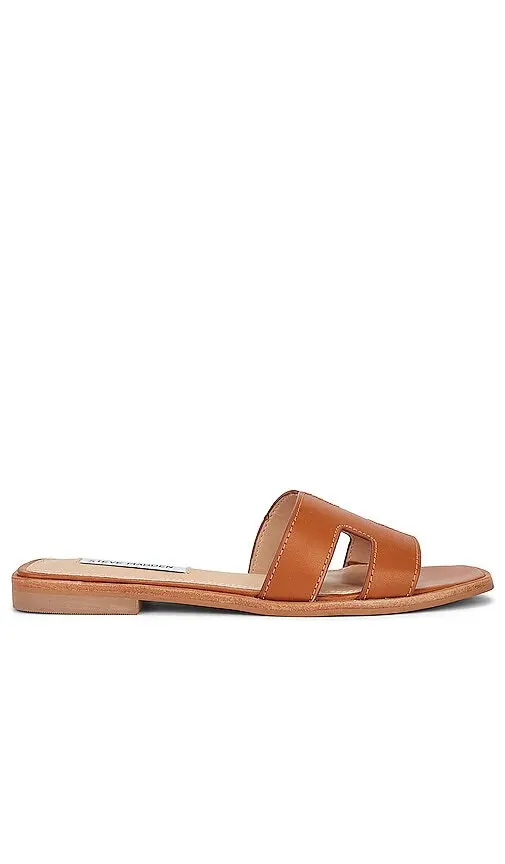 Steve Madden Hadyn Slide Sandals - Brown