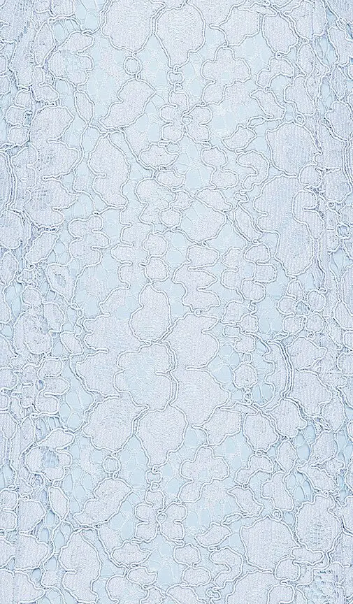 Nbd Brielle Lace Dress