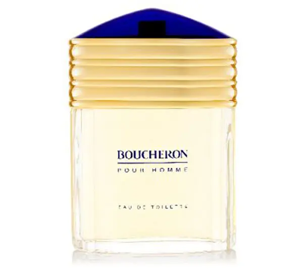 Boucheron Pour Homme Eau De Parfum Spray 3.3 Oz - 0