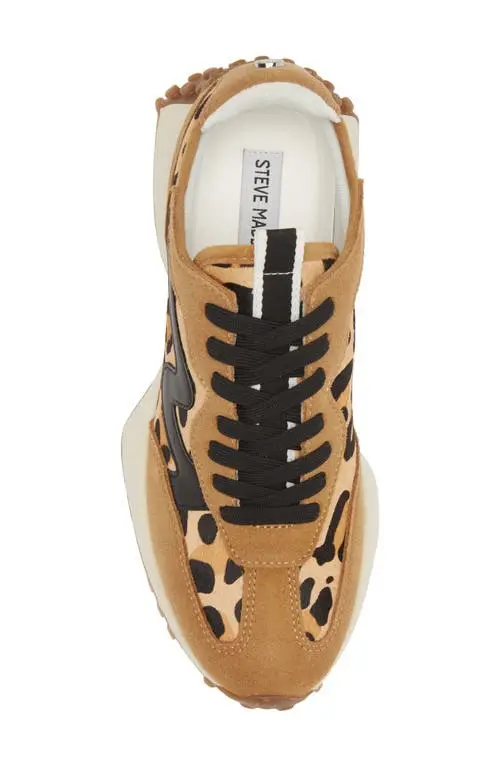 Steve Madden Campo-L Leopard Print Calf Hair Sneakers In Leopard