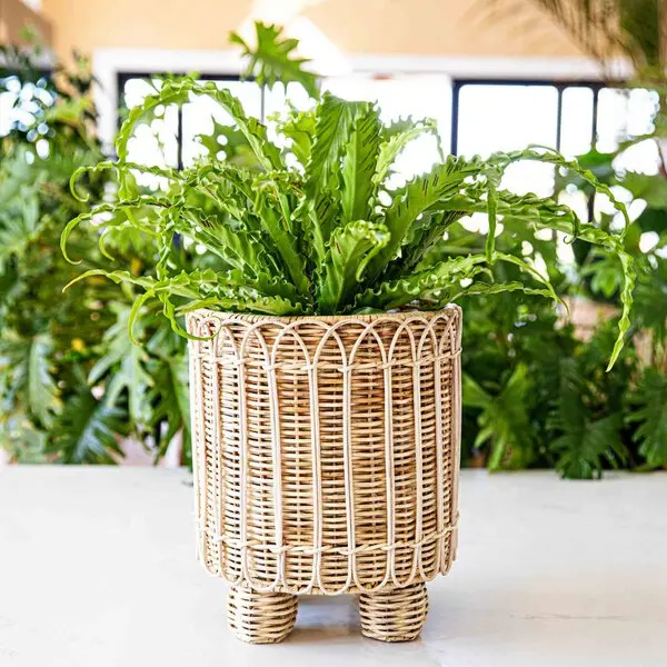 JULISKA Provence Rattan Round Planter