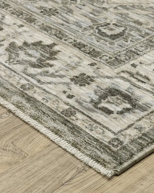 ORIENTAL WEAVERS Chamberlain Ch05a Area Rug, 7'10 X 10'10