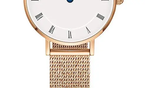 DANIEL WELLINGTON Petite Mesh Strap Watch