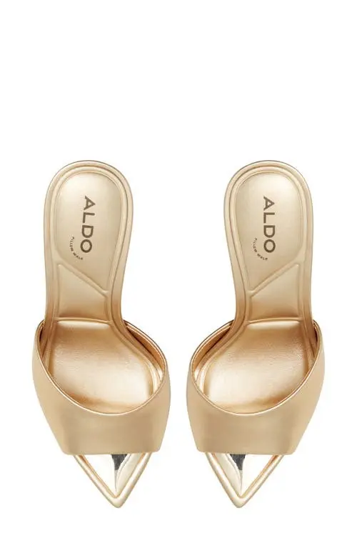 Aldo Marita Pointed Toe Stiletto Sandals